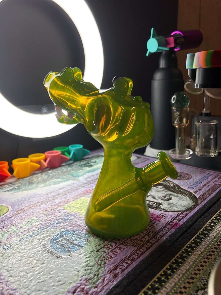 David Blang alligator #5 | Shop Other on GlassPass