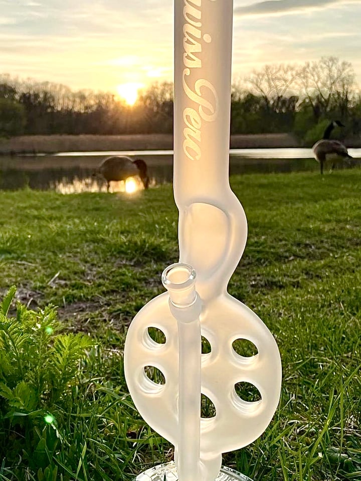 swiss perc | Shop Swiss Perc on GlassPass