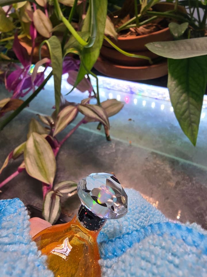 Custom Barry glass 25/30m... | Shop Barry Glass on GlassPass