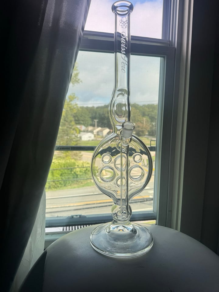 Swiss perc 7 hole | Shop Swiss Perc on GlassPass