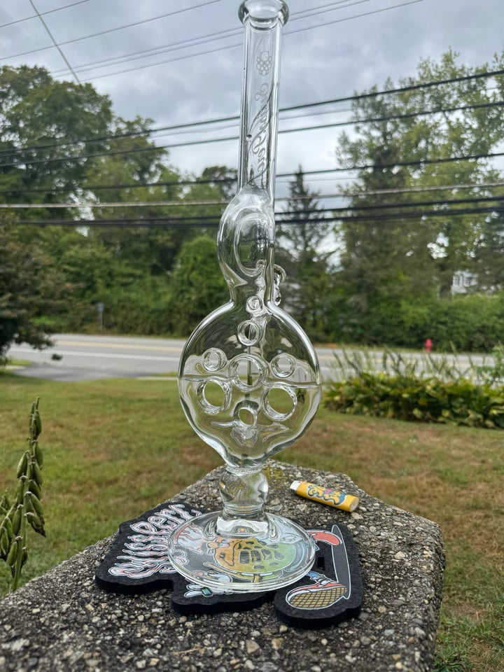 Swiss perc 7 hole | Shop Swiss Perc on GlassPass