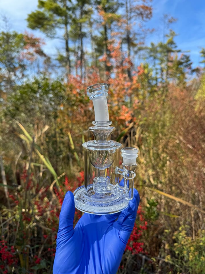 Mothership Mini Torus | Shop Mothership on GlassPass