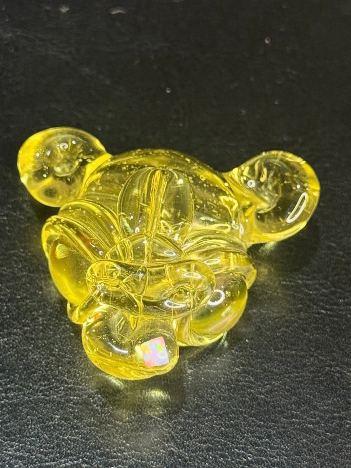 Casto serum Spunion set | Shop Casto on GlassPass