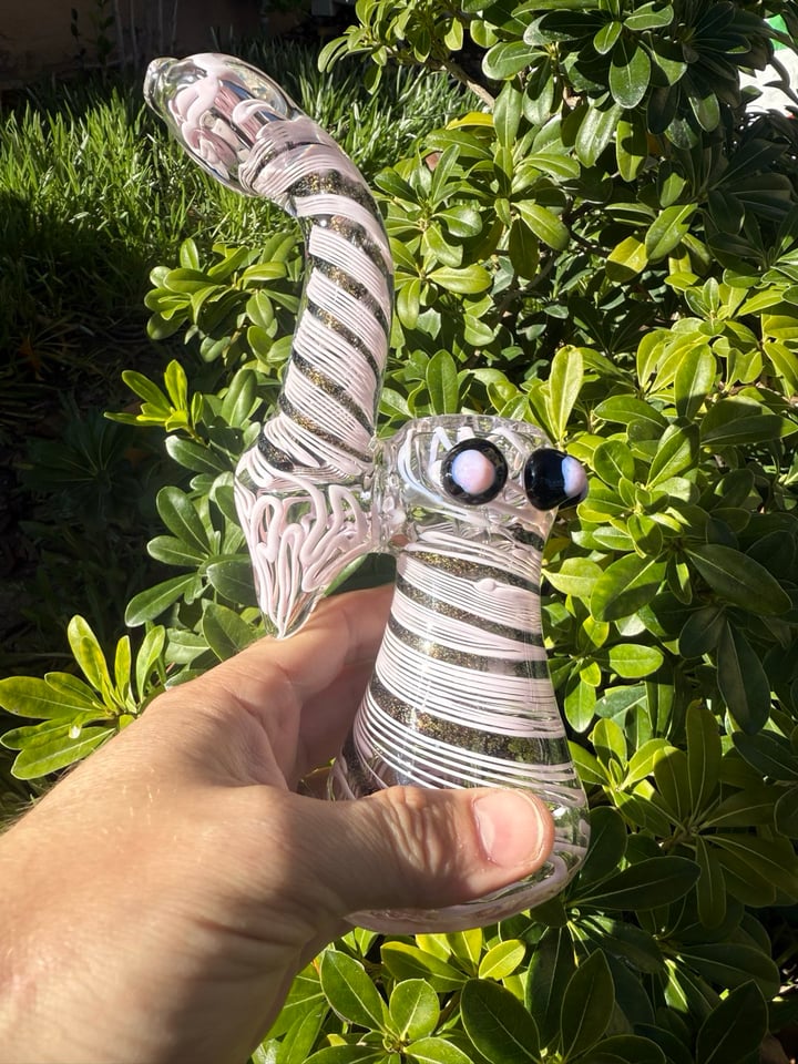 Pink Dicro Glass Bubbler | Shop Bubblers on GlassPass