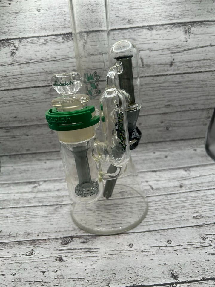 Forest Green Illadelph Beak... | Shop Illadelph on GlassPass