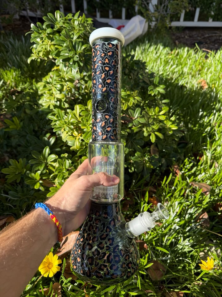 Cheetah 16 Inch Beak... | Shop Percolated Bongs on GlassPass