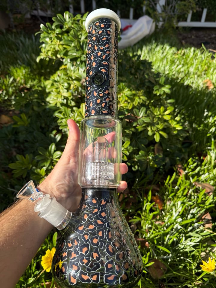 Cheetah 16 Inch Beak... | Shop Percolated Bongs on GlassPass