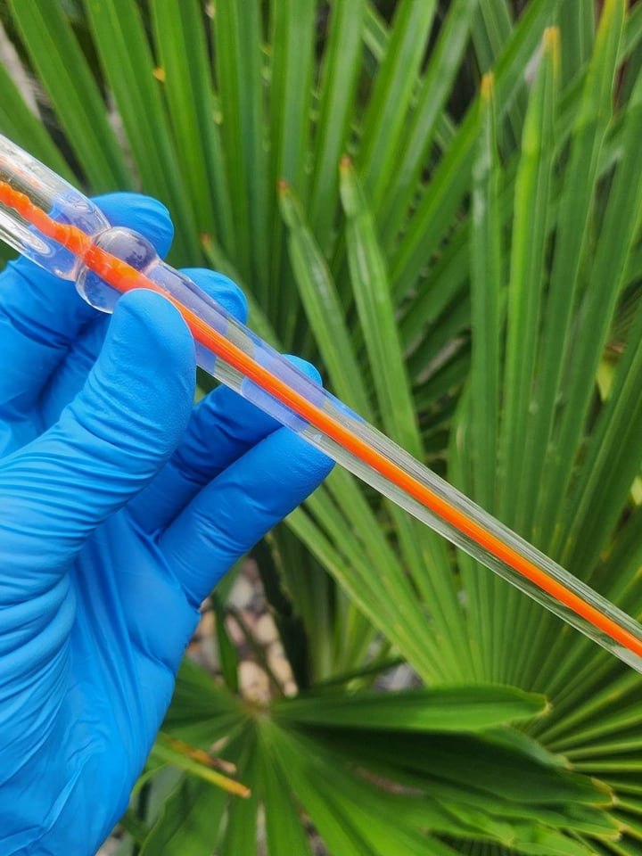 Marcel Braun Project 33 Wizard... | Shop Marcel on GlassPass