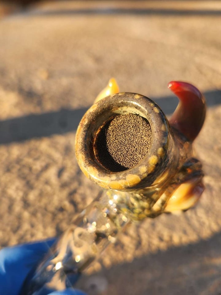 LURCH x Healthstone... | Shop Nectar Collectors on GlassPass