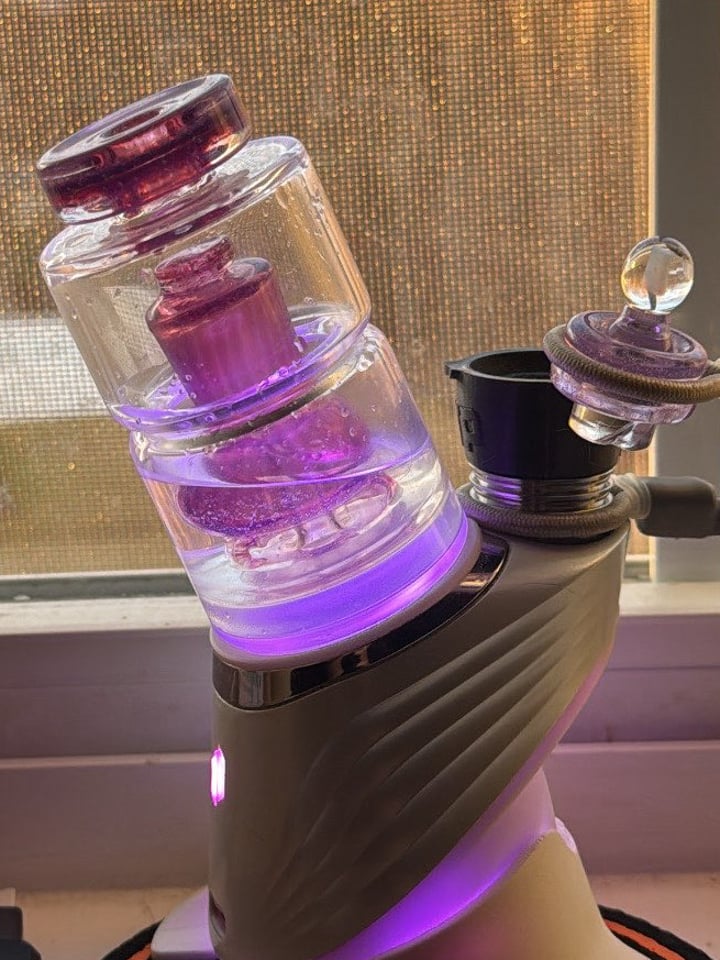 Spder glass 2 holes roy... | Shop Spiders Glass on GlassPass