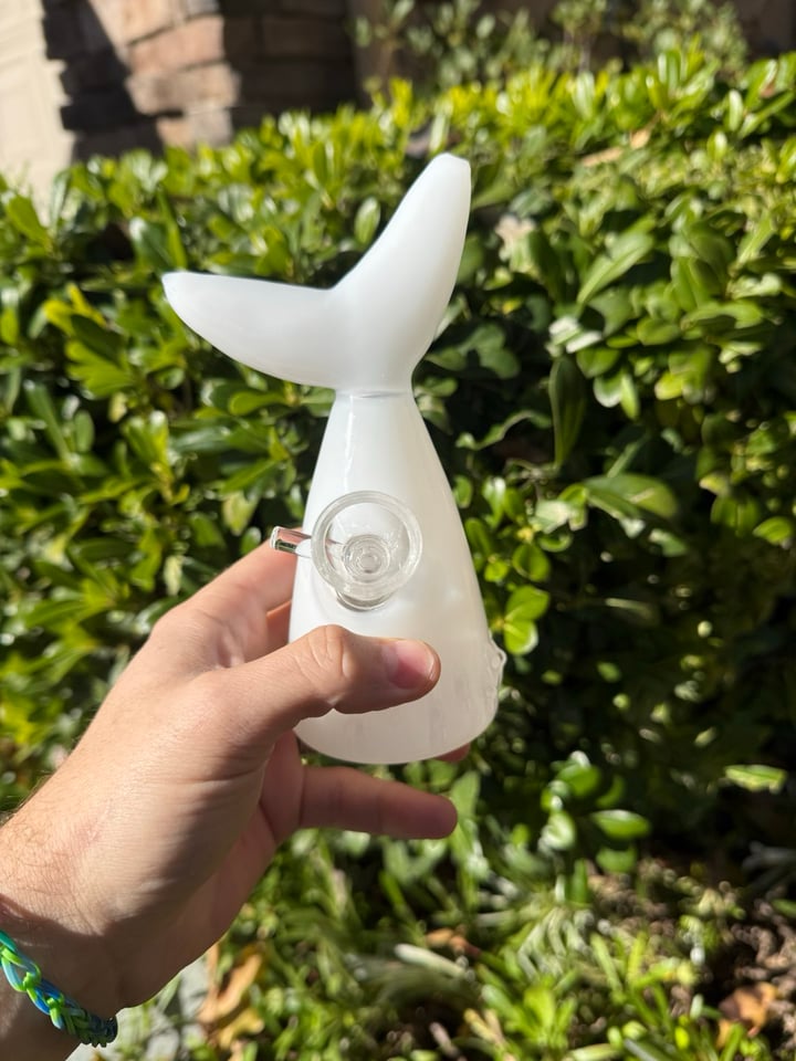 White Mermaid Tail Dab Rig | Shop Dab Rigs on GlassPass