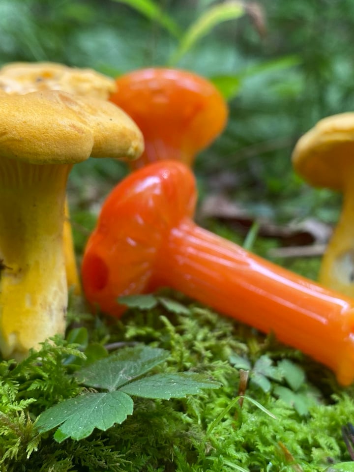 Chanterelle pivot tops | Shop Pivot Attachments on GlassPass