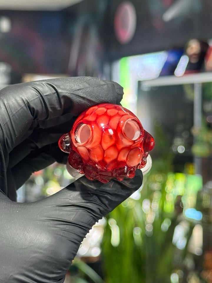 Honeycomb Wasp Head from Shuhbuh | Shop Shuhbuh on GlassPass