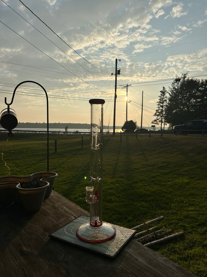 FA Cherry f4 | Shop Sovereignty on GlassPass