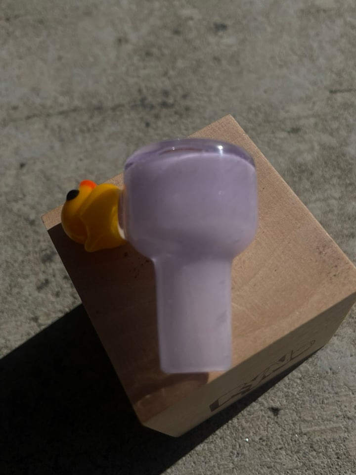 Ryno glass Duckie slide | Shop Ryno on GlassPass