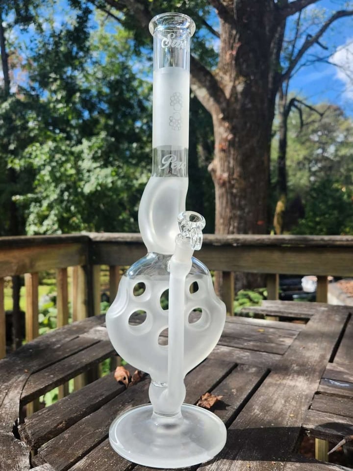Swiss perc | Shop Swiss Perc on GlassPass