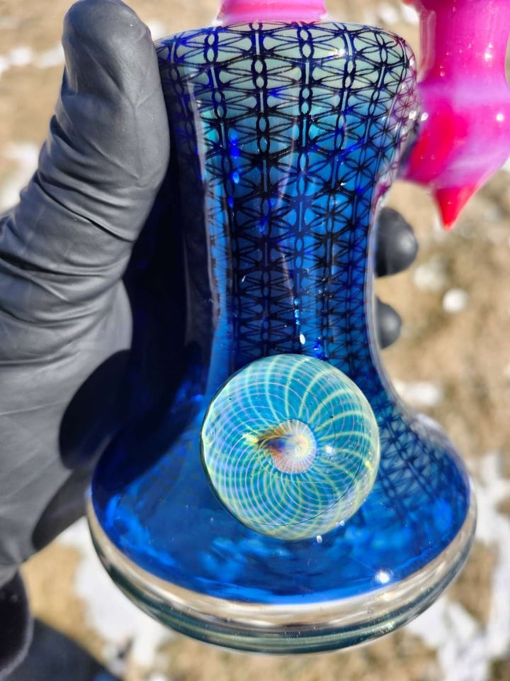 STARSEED GLASS | Shop Star Seed Glass on GlassPass