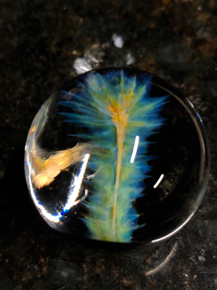 Spikey honey comb marble | Shop Marbles on GlassPass