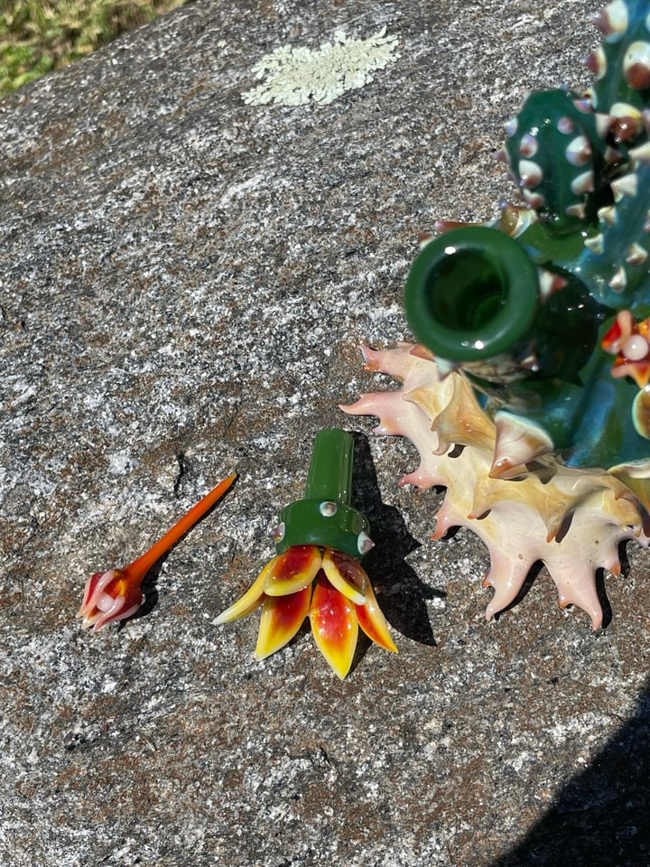 Unparalleled Roote... | Shop Unparalleled Glass on GlassPass