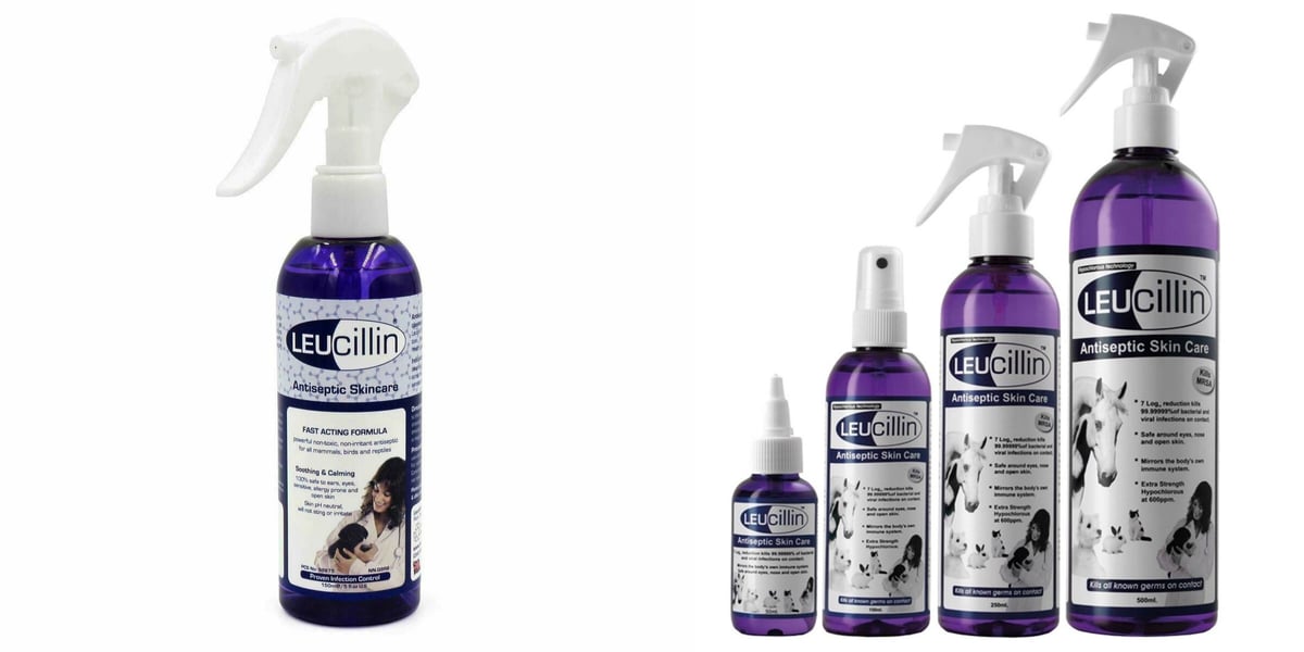 Waggel Blog - Antiseptic Cream for Dogs | Can I Use Antiseptic Cream?