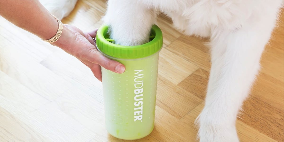 Waggel Blog - Dog Paw Cleaners - Cleaning those Winter Messes