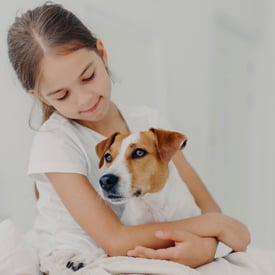 Waggel Blog - Small Dog Breeds UK - The Top 10 Small Dog Breeds