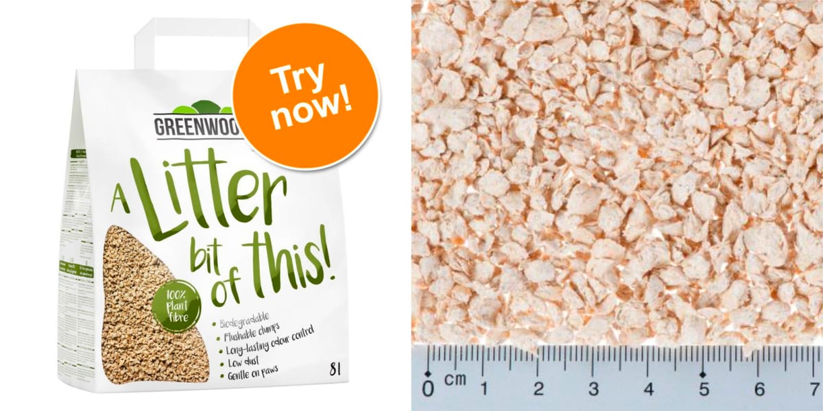 Waggel Blog - Best Cat Litter - Our Top 5 Choices