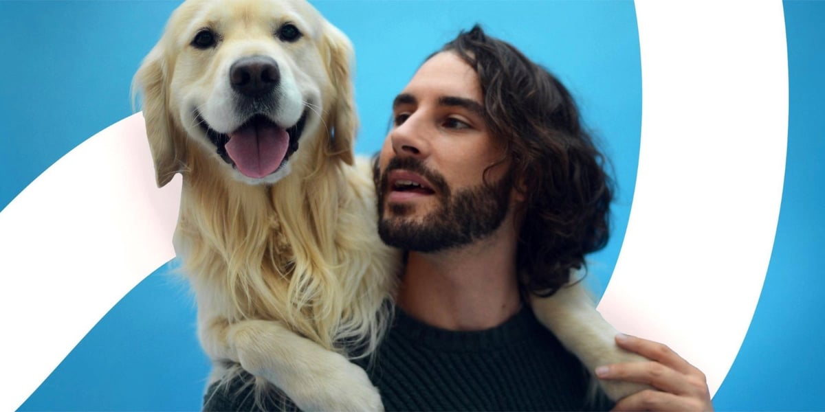 Waggel Blog - The Story of Waggel’s Rebrand