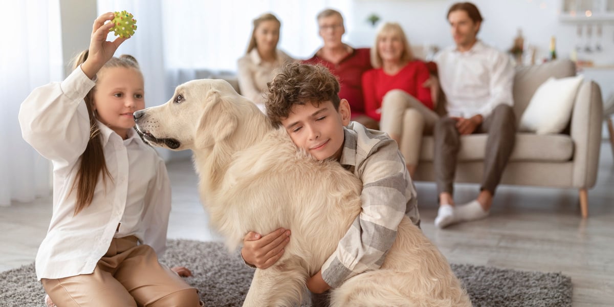 Waggel Blog - Best Family Dogs UK - Top 10 Best Dog Breeds for Families