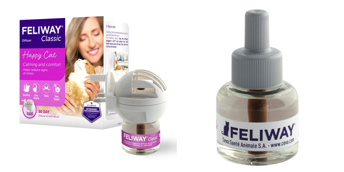 Waggel Blog - Cat Calming Plug-In - What Are They and Do They Work?