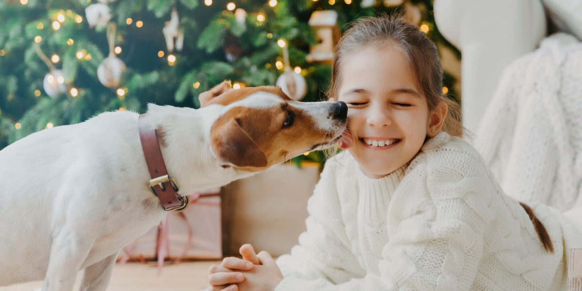 Waggel Blog - Why Do Dogs Lick You? - Your Dog Questions Answered
