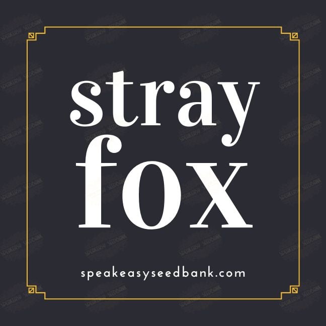 Strayfox Gardenz • Stray Fox Seeds & Circle of Blessings Strains