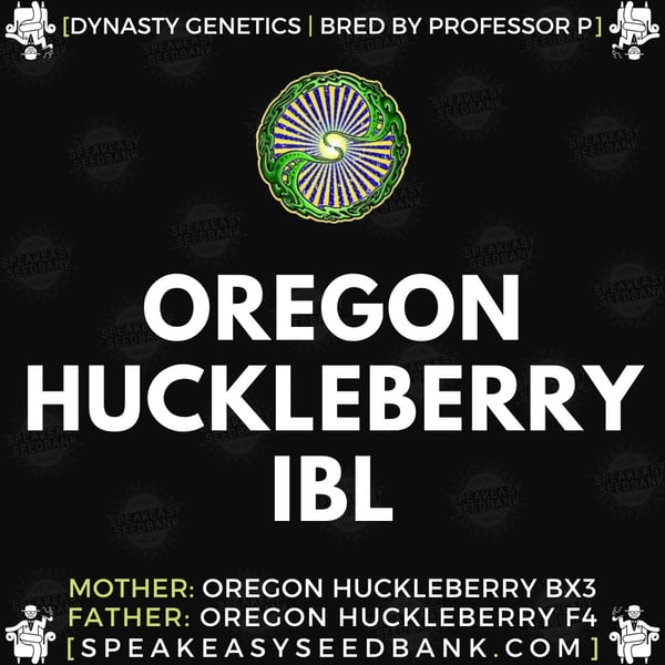 Oregon Huckleberry IBL Strain (Seeds) • Stabilized IBL Seed Line