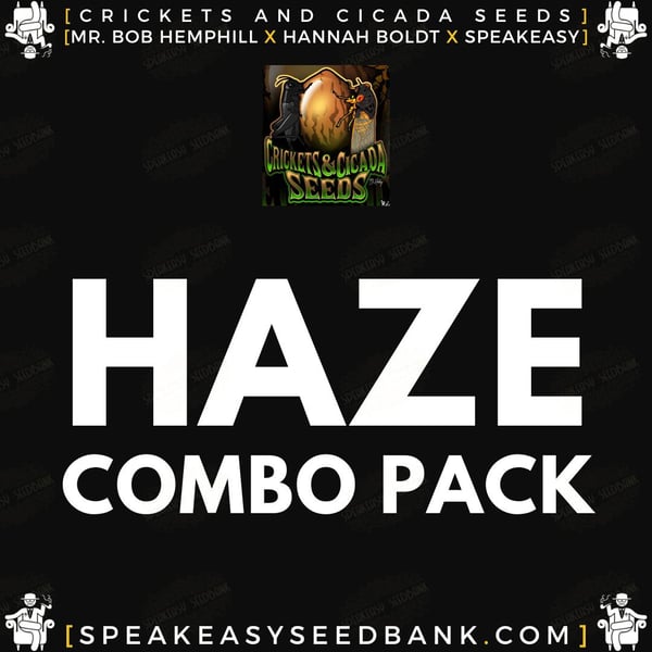 Haze Two Ways (Combo Pack) 😶‍🌫️2️⃣ • The Haziest Strains Ever?