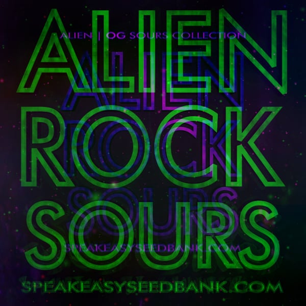 Alien Rock Sours Strain (Seeds) 👽🪨⛽ • Cosmic Stargazing 🌃