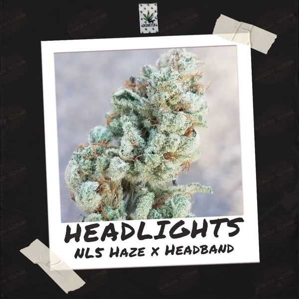 Headlights Strain • A Bright Light Shines Through A Secret Past