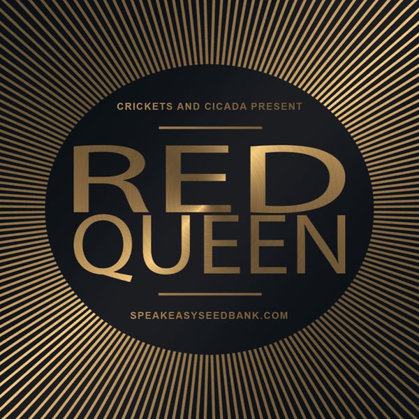 Red Queen Strain (Seeds) 🟥👑 • All The King's Horses and Men?