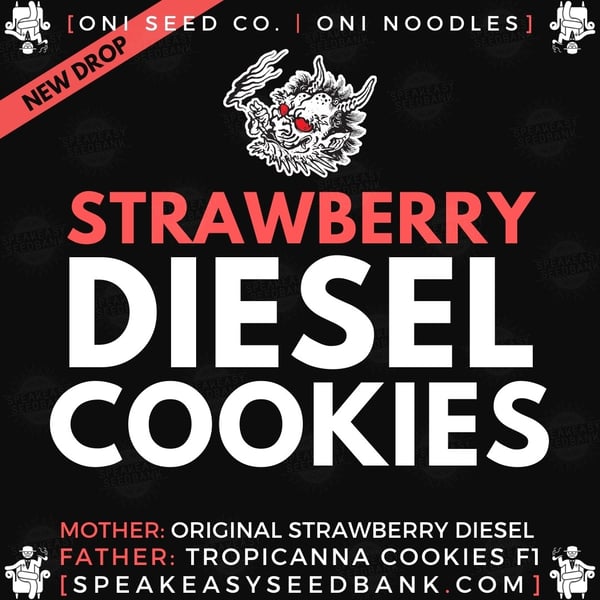 Oni Seed Co Seeds - Strawberry Diesel Cookies strain | Speakeasy