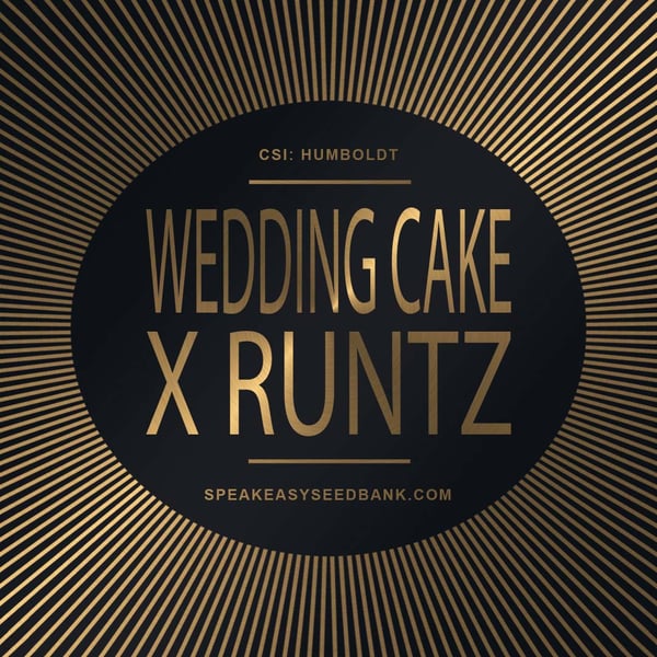 WeddingCakexRuntz
