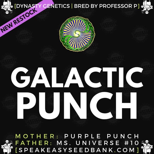 Galactic Punch Strain (Seeds) • What It's Like When Worlds Collide