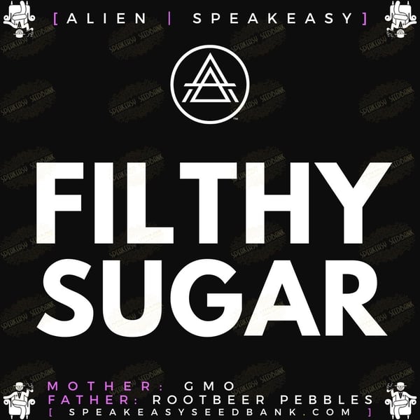 Filthy Sugar Strain (Seeds) • Dripping With Juices • Oh So Sticky!