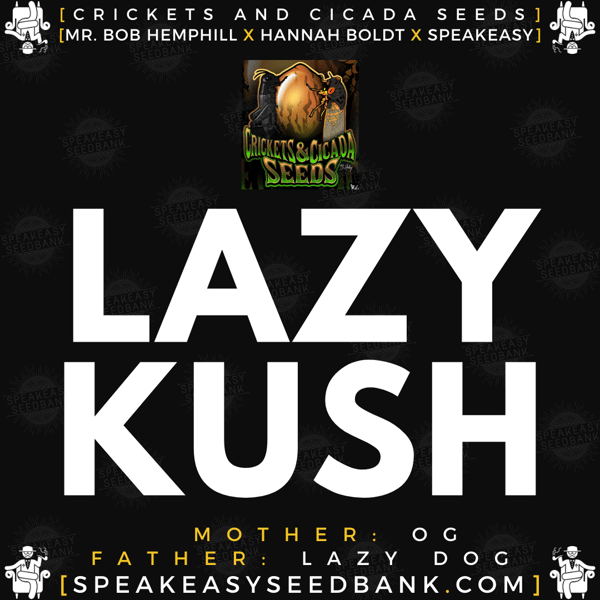 Lazy Kush Strain (Seeds) • Our Top Choice When It's Break Time