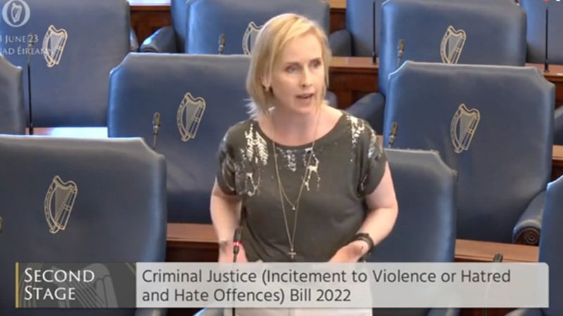 Irish MP Says ‘We Are Restricting Freedom For The Common Good’ With New ...