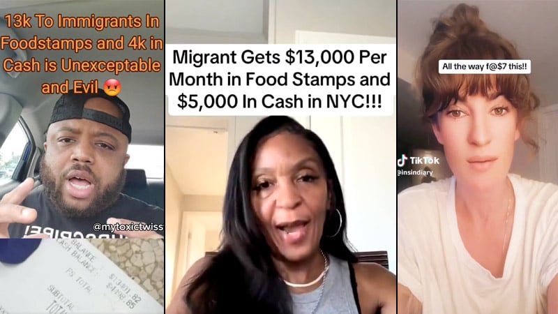 Americans Outraged Over Illegal Alien’s Grocery Receipt Showing $13,000 ...