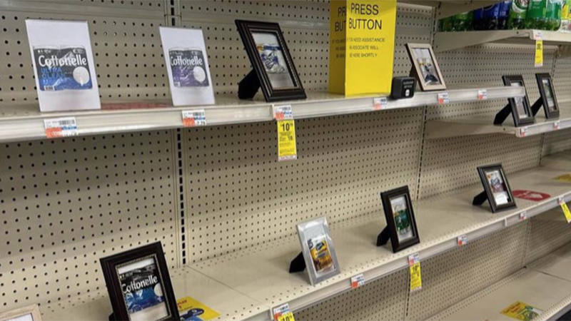 “This Is The Third World”: CVS Displays Framed Pictures Of TOILET PAPER ...
