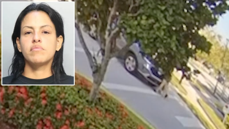 Shock Video: Venezuelan ‘Migrant’ Delivering for Amazon Runs Over ... Shock Video: Venezuelan ‘Migrant’ Delivering for Amazon Runs Over ...
