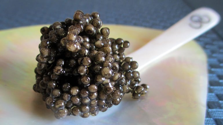 10 things you probably don’t know about Caviar - Luxurylaunches