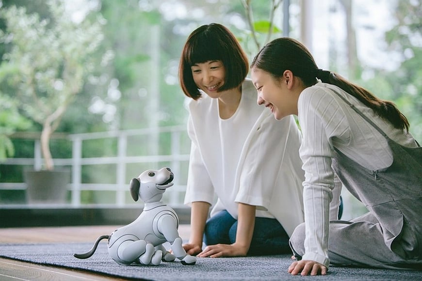 Sony has just announced a new Aibo robotic pooch and it’s only for Japan