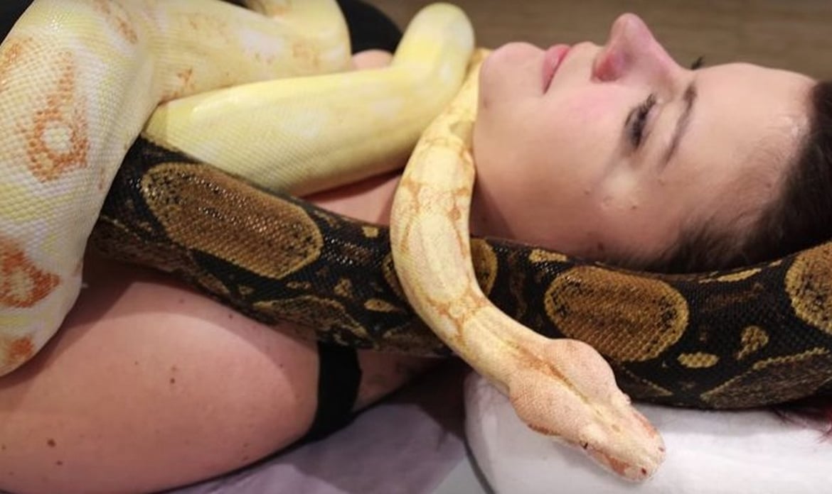 Video - Snake massages are a thing and they are getting popular ...