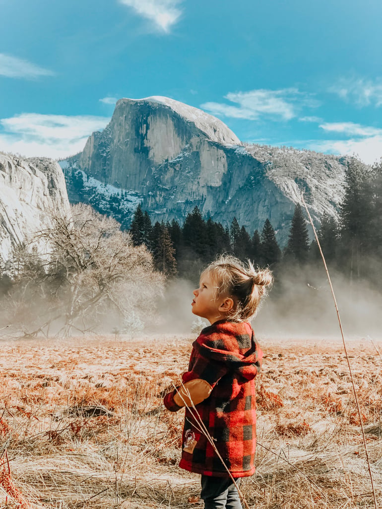 Here are the top 10 winning photos from Apple's Shot on iPhone ...